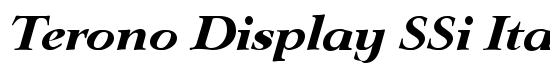 Download Terono Display SSi Italic Font - Thousands of fonts to ...