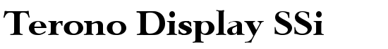Terono Display SSi Font - FontZone.net