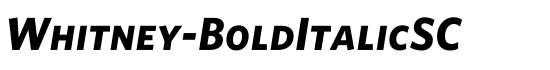 Download Whitney-BoldItalicSC Font - Thousands of fonts to download for ...